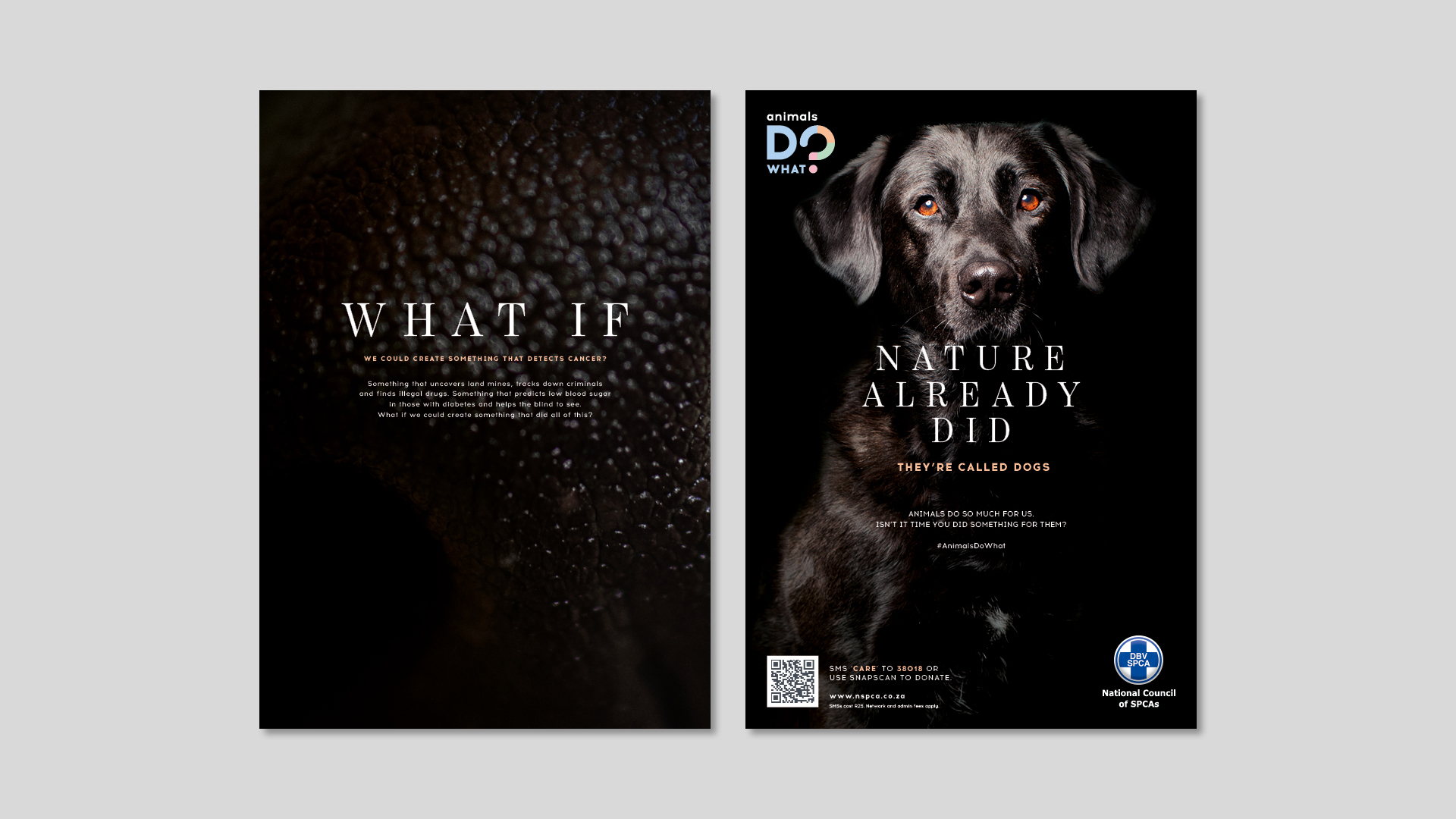 Global NSPCA campaign gives 3 147 reasons to donate with #AnimalsDoWhat ...